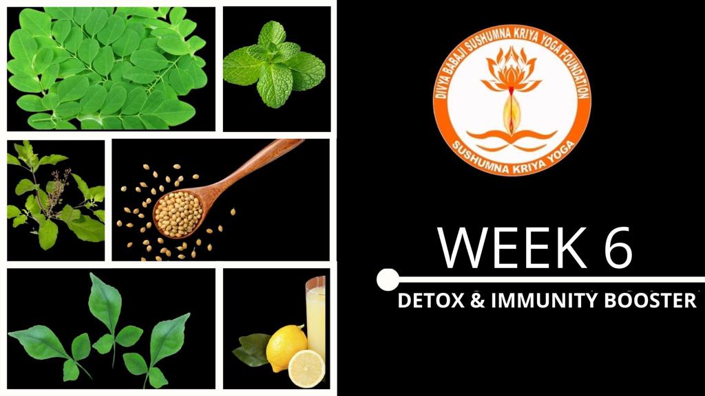 Detox and Immunity Booster – Week #6 – Sushumna Kriya Yoga