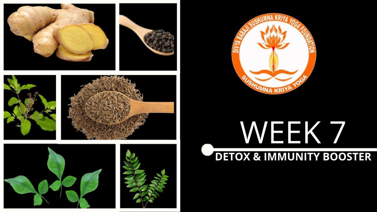 Detox and Immunity Booster – Week #7 – Sushumna Kriya Yoga